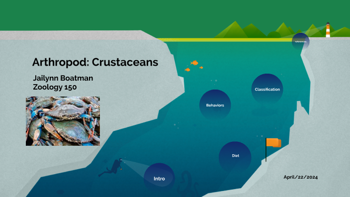 arthropod; crustaceans by Jailynn Boatman on Prezi