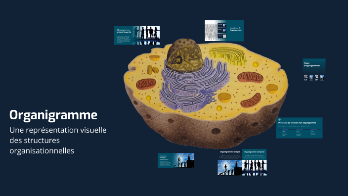 Organigramme by Fabio Zimini on Prezi