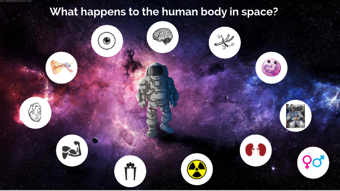 What happens to the human body in space? by lucas rehnberg on Prezi