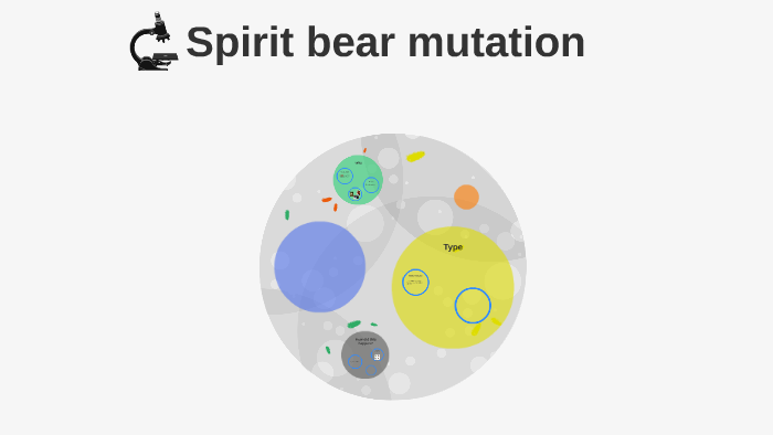 Spirit bear mutation by chase foden on Prezi