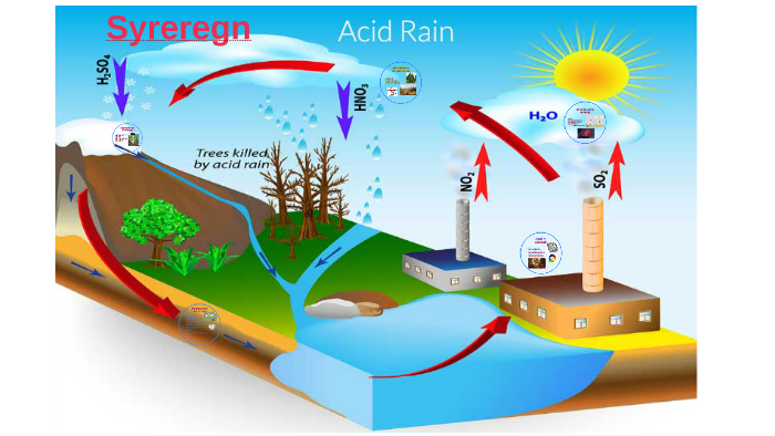 Syreregn by Isolde Hyldgaard on Prezi
