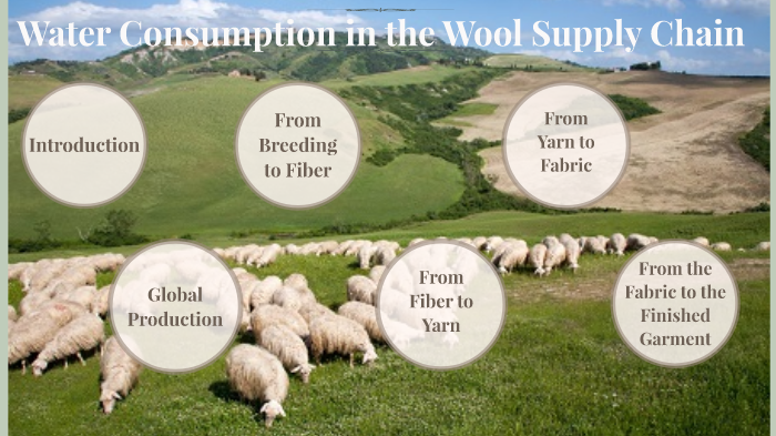 Water consumption in the wool supply chain by Giorgia Michelon on Prezi