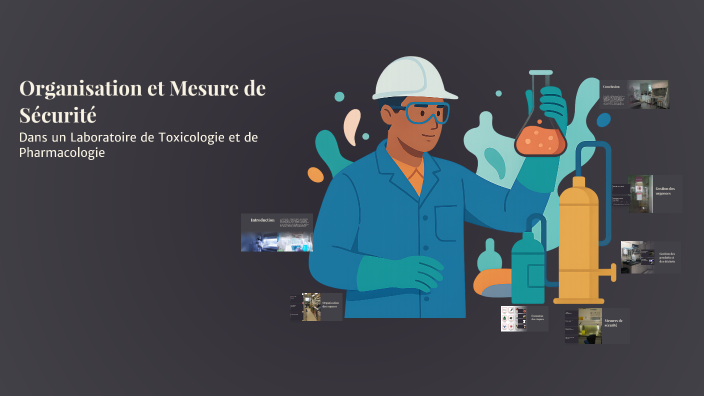Organisation et Mesure de Sécurité by naf ass on Prezi