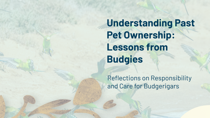 Understanding Past Pet Ownership: Lessons from Budgies by Tj Balls on Prezi