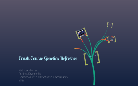 Crash Course in Genetics by Patricia Idema on Prezi