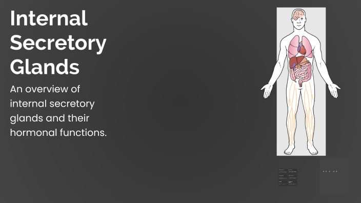 Internal Secretory Glands by Өсөхсүрэн Ө on Prezi