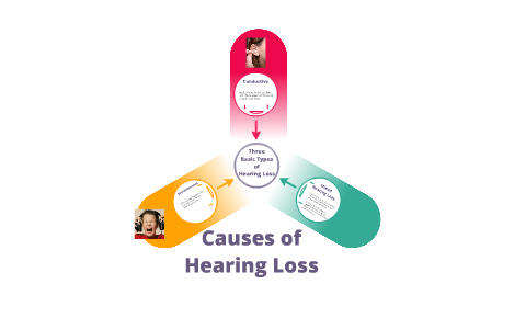 Causes of Hearing Loss by Jennifer Davis on Prezi