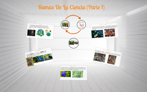 Ramas De La Ciencia by on Prezi