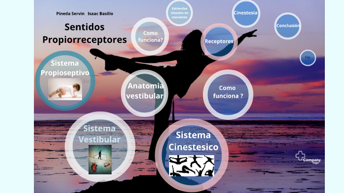 Sentidos Propiorreceptores by Isaac Basilio Pineda Servin on Prezi