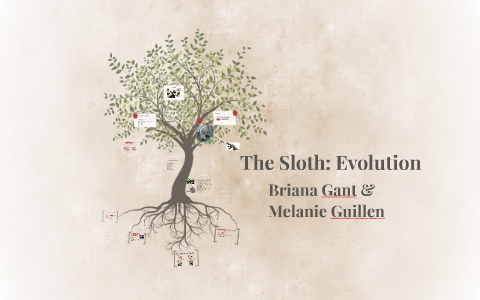 The Sloth: Evolution by Briana Gant on Prezi