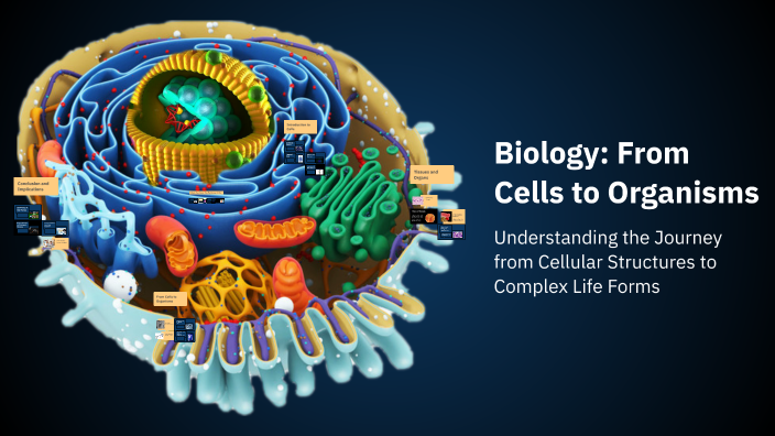 Biology: From Cells to Organisms by Kayla Perez [STUDENT] on Prezi