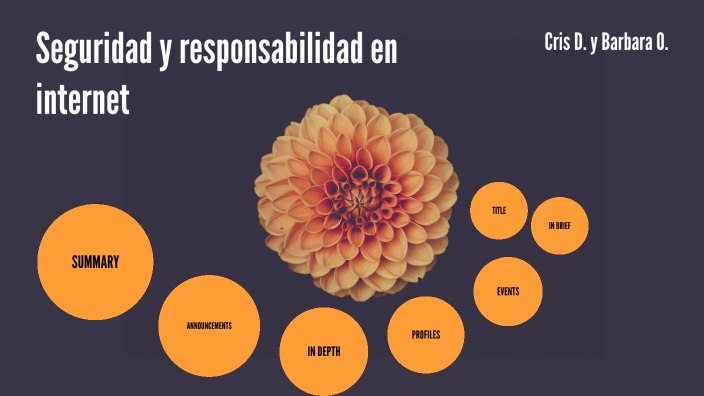 Seguridad y responsabilidad en internet by Cristina Díaz on Prezi