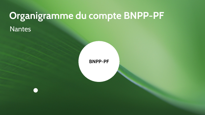 Organigramme BNPP-PF by Jean-Julien HERAUD on Prezi