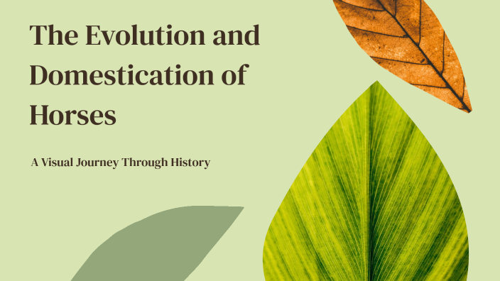 The Evolution and Domestication of Horses by Shania Shine on Prezi