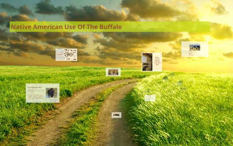 Native American Use Of The Buffalo by C. Sekerak on Prezi