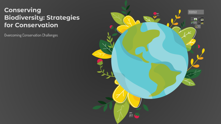 Conserving Biodiversity: Strategies for Conservation by Olivia Rydzik ...