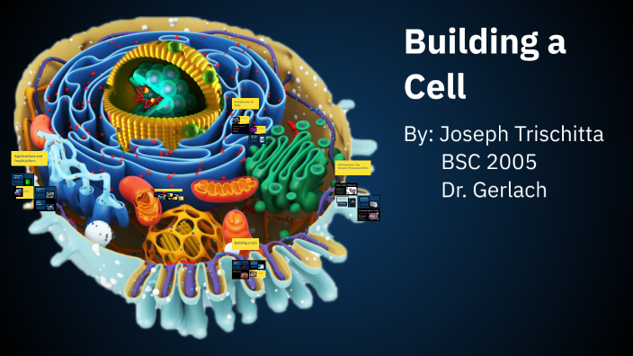 Building a Cell by joe T on Prezi