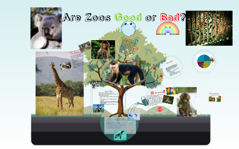 Are Zoos Good or Bad by Janae Robinson on Prezi
