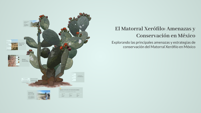 El Matorral Xerófilo: Amenazas y Conservación en México by Esmeralda ...