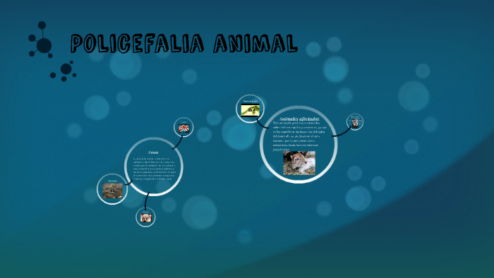 Policefalia animal by Mario Fernandez on Prezi