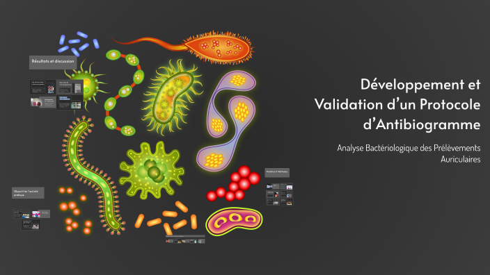 Développement et Validation d’un Protocole d’Antibiogramme by takwa ...