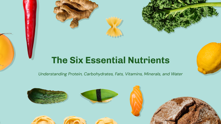 The Six Essential Nutrients by owen wellings on Prezi