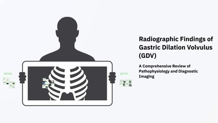 Radiographic Findings of Gastric Dilation Volvulus (GDV) in Canines by ...