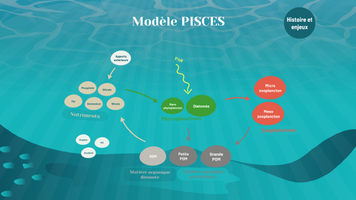 PISCES model by Martin Venzac on Prezi