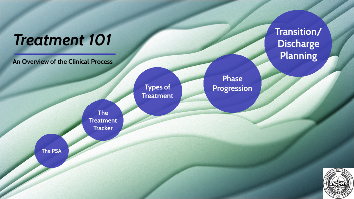 TREATMENT 101: An Overview of the Clinical Process by Nicole Lewis on Prezi