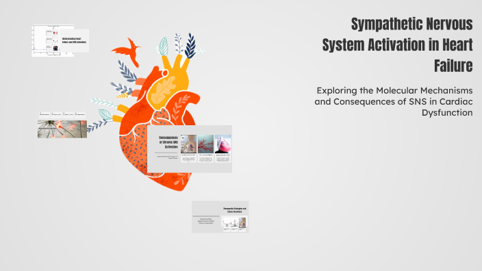 Sympathetic Nervous System Activation in Heart Failure by alireza ...