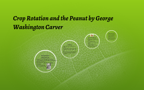 Crop rotation and the Peanut by George Washington Carver by Kate Watson ...