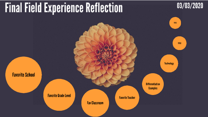 Final Field Experience Reflection by Alana Zimbelman on Prezi