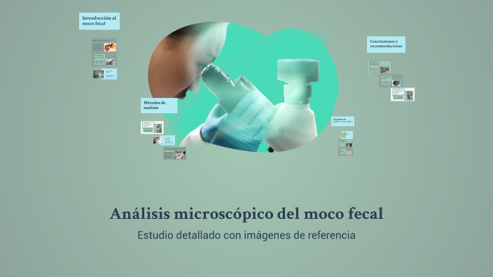 Análisis microscópico del moco fecal by JUAN CARLOS MU IZ AREGULLIN on ...