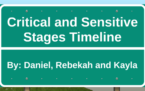 Critical and Sensitive Stages Timeline by Rebekah Kroezen on Prezi