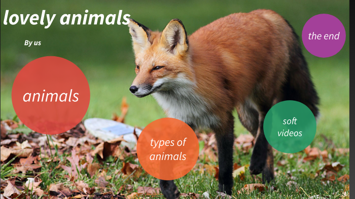 elpepe etesech by teddy jimenez on Prezi