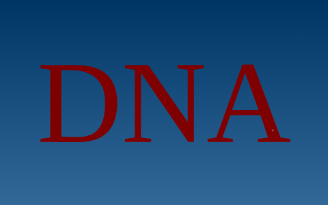 DNA by Andrew Marano on Prezi