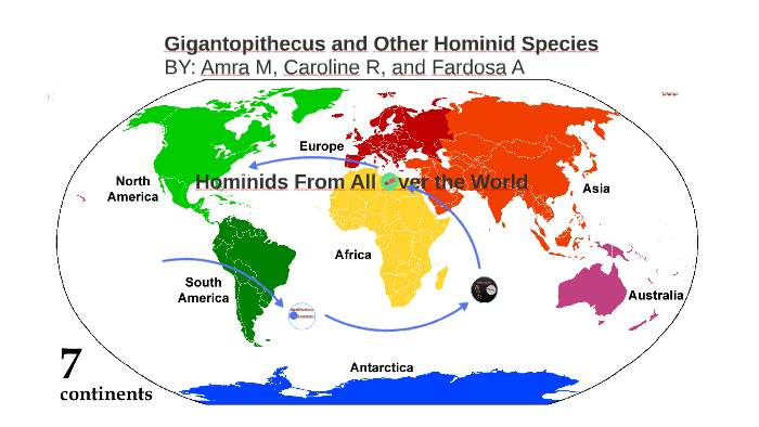 Giganthepithicus and Other Hominid Species by faden faden on Prezi