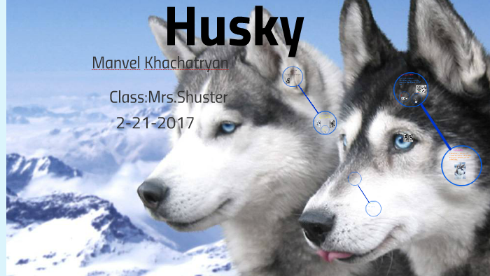 Manvel Khachatryan by Mrs. Bonk on Prezi