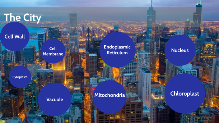 Cell Analogy Project- City by Yeamlak Tekabe on Prezi