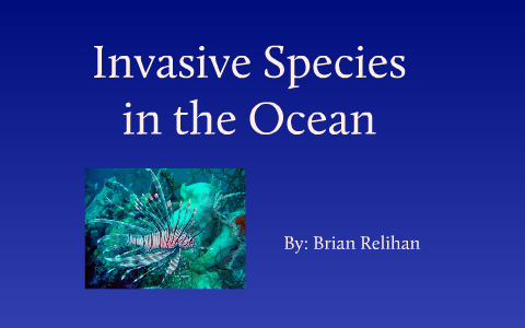 Oceans Invasive Species in the Ocean by Brian Relihan on Prezi