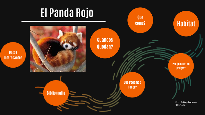 El Panda Rojo by Stitch Experiment 626 on Prezi