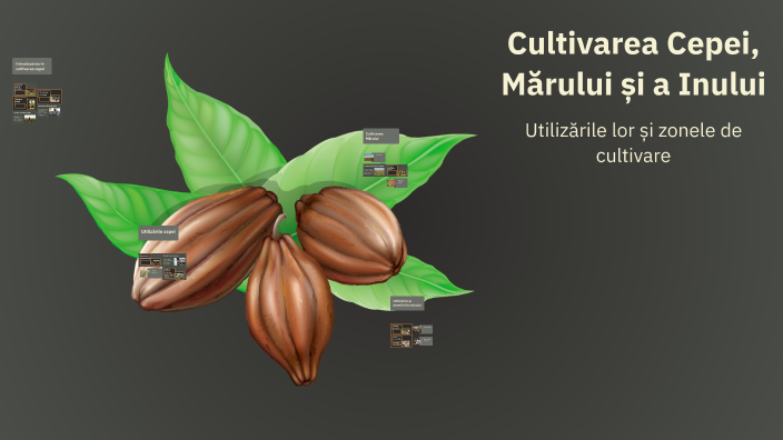 Cultivarea Cepei, Mărului și a Inului by terzi Mihaela on Prezi