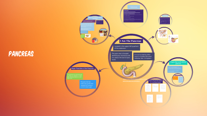 Pancreas Presentation by Kevin Chegue on Prezi