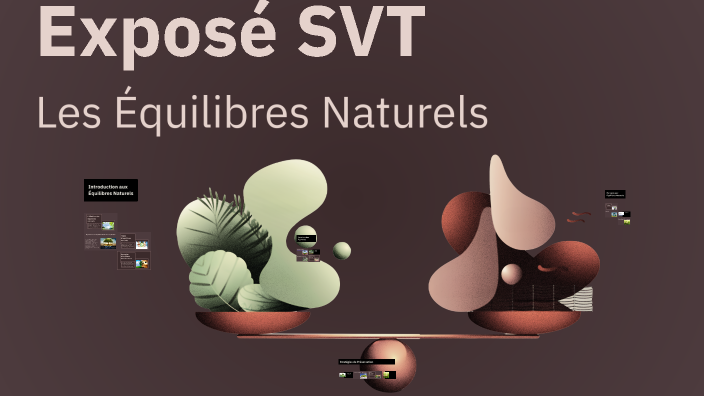 Exposé SVT by Kaka Kaka on Prezi