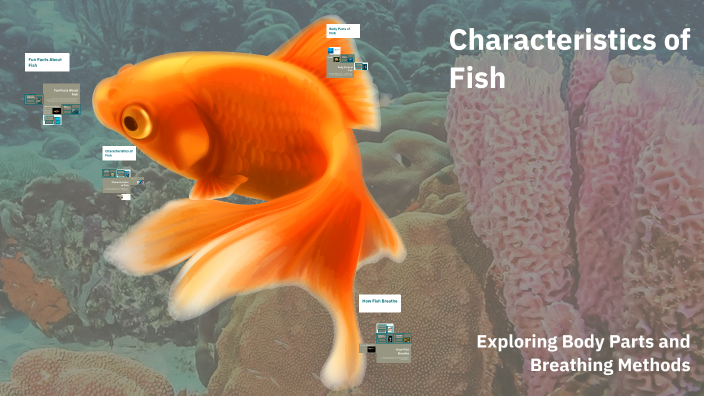 Characteristics of Fish for Children by Kirsty Simmons on Prezi