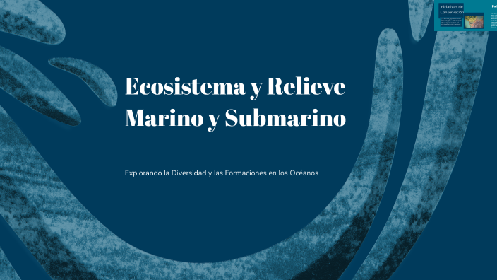 Ecosistema y Relieve Marino y Submarino by ANGEL SALVADOR TURPO CRUZ on ...