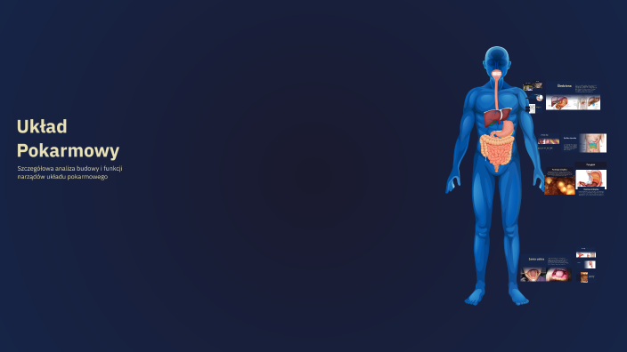 Układ Pokarmowy by Przemek Trojanek on Prezi