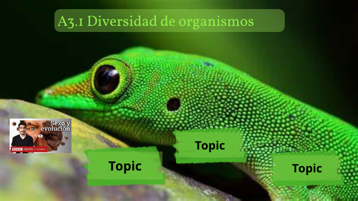 A3.1 Diversidad de organismos. by Víctor Salas on Prezi
