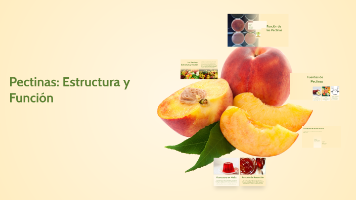 Pectinas: Estructura y Función by Danisa Sosa on Prezi