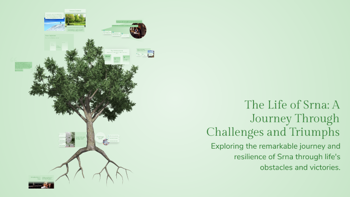 The Life of Srna: A Journey Through Challenges and Triumphs by Matija ...